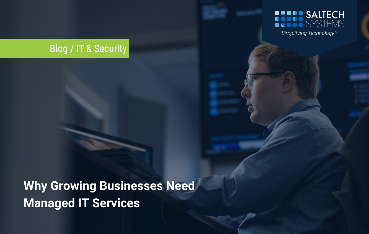 Saltech Systems, Web Design, Marketing, IT Services, IA & TX