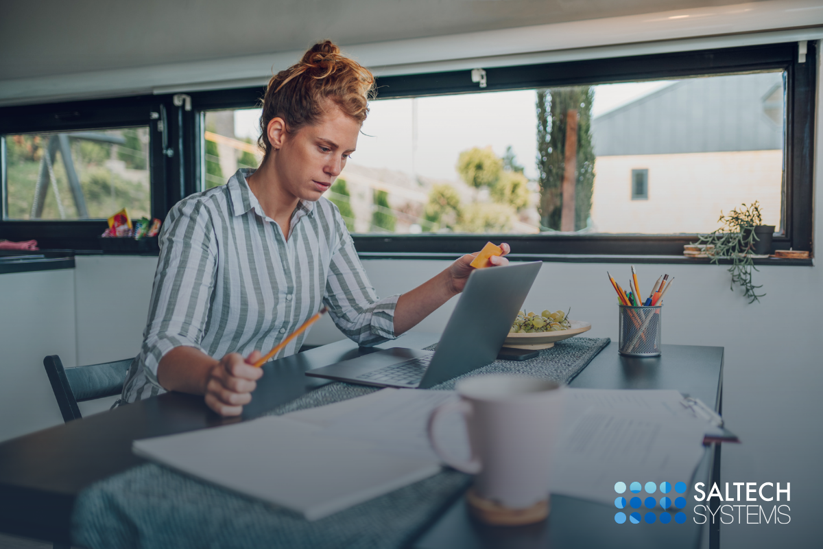 Saltech Systems, Web Design, Marketing, IT Services, IA & TX